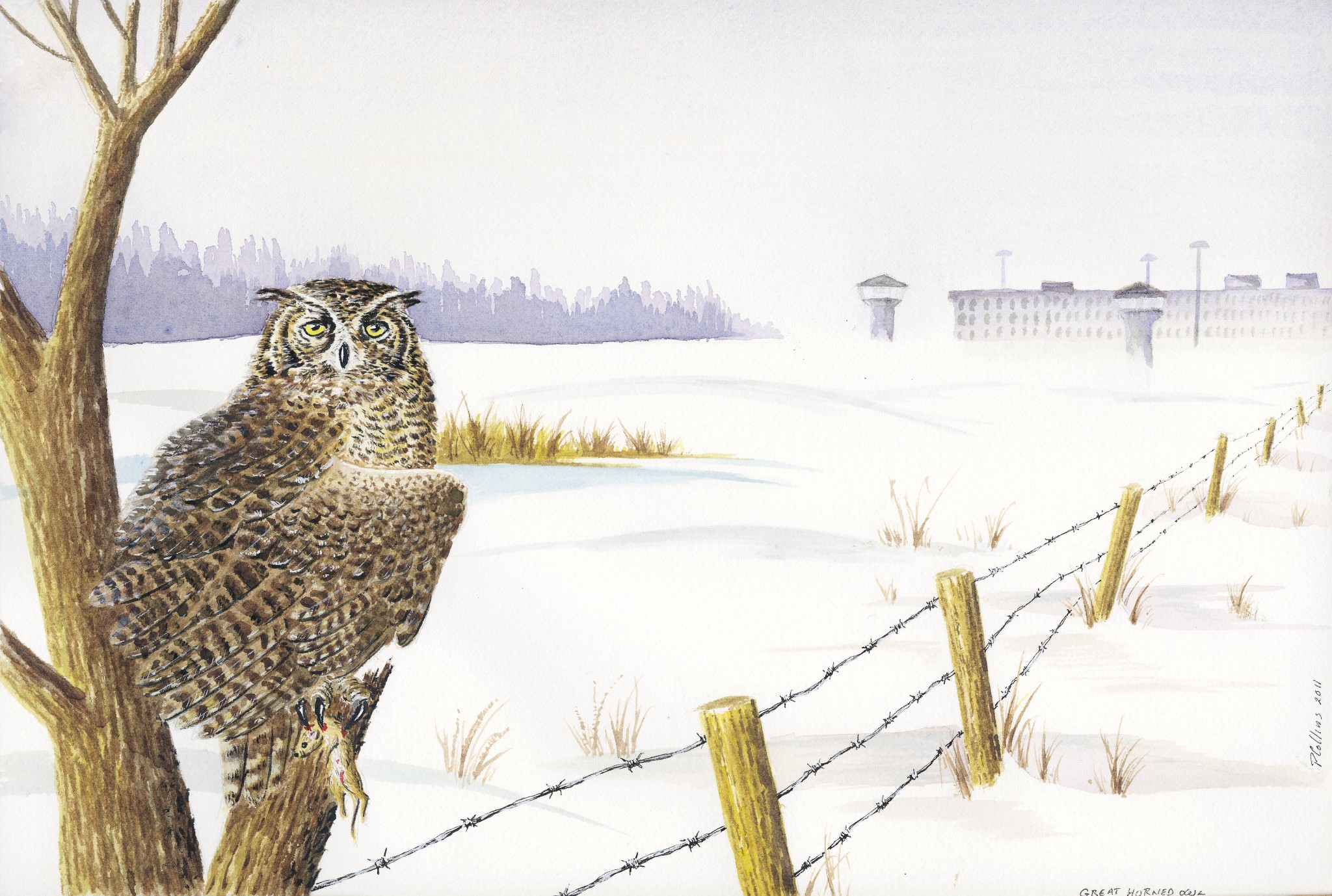 Of Birds, Ointments, and Care: How Peter Collins’ Artworks Kept Him in ...